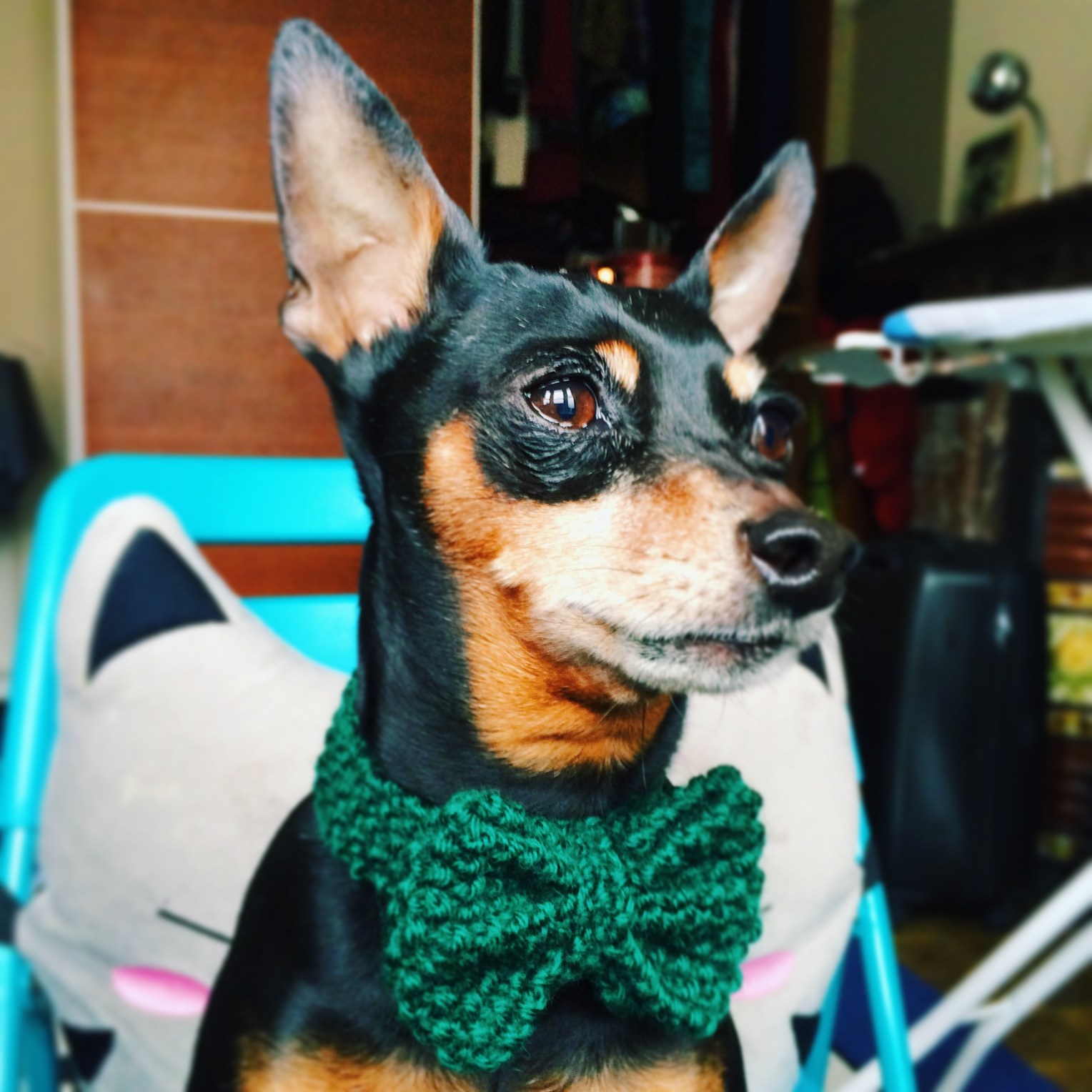 Knit a Dapper Bow Tie – Julie & The Knits